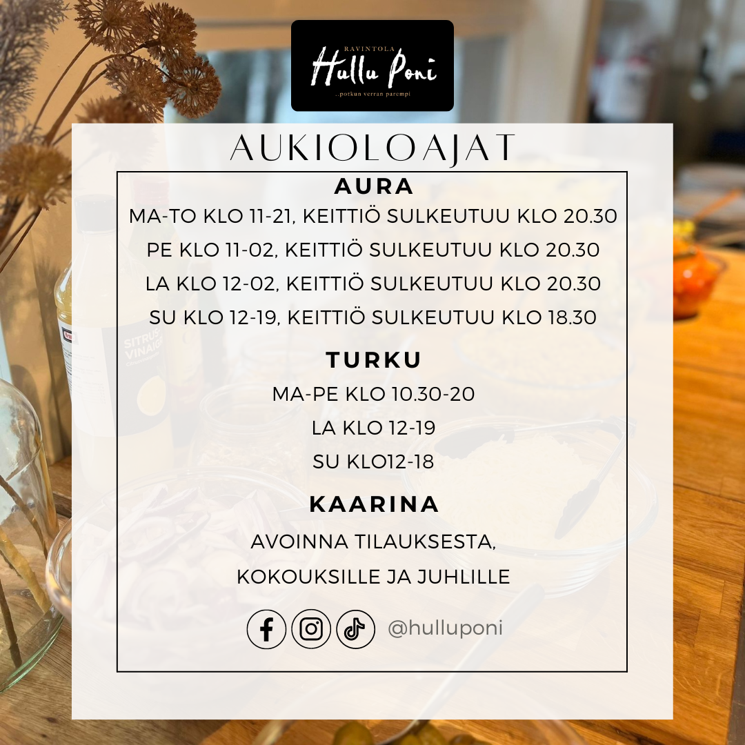 Hullu Poni